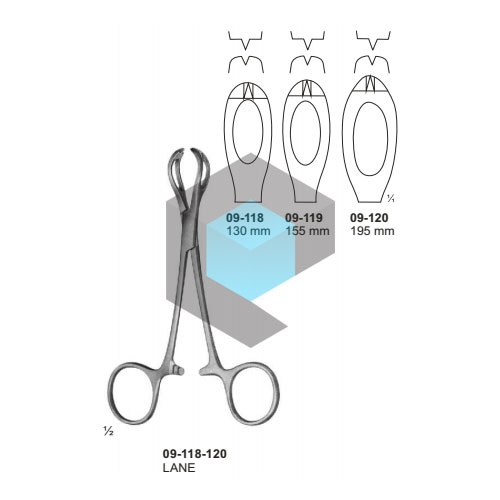 LANE Forceps - Eco Surgical Co