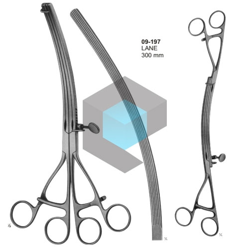 LANE Gastro-Intestinal Forceps - Eco Surgical Co